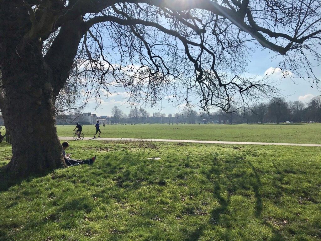 Here Comes the Sun: Jesus Green, Midsummer Common, and the Lower Cam ...